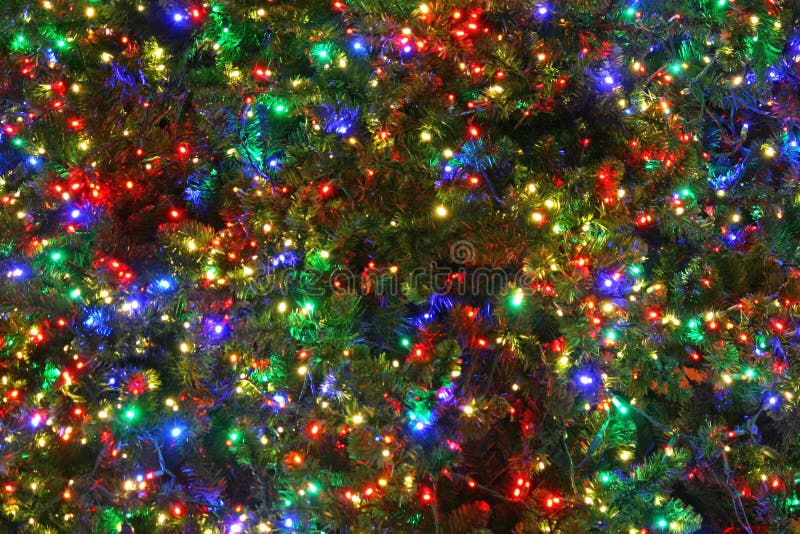 Christmas Tree Lights stock image. Image of green, evergreen - 29640039