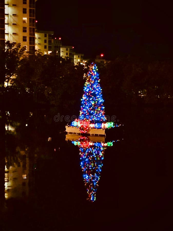 Christmas Tree Lights Reflection Stock Image - Image of lighted, lights ...
