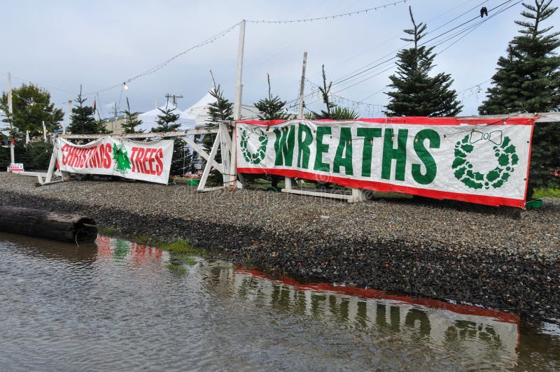 Christmas Tree Lot with Trees and Wreaths Stock Image - Image of ...