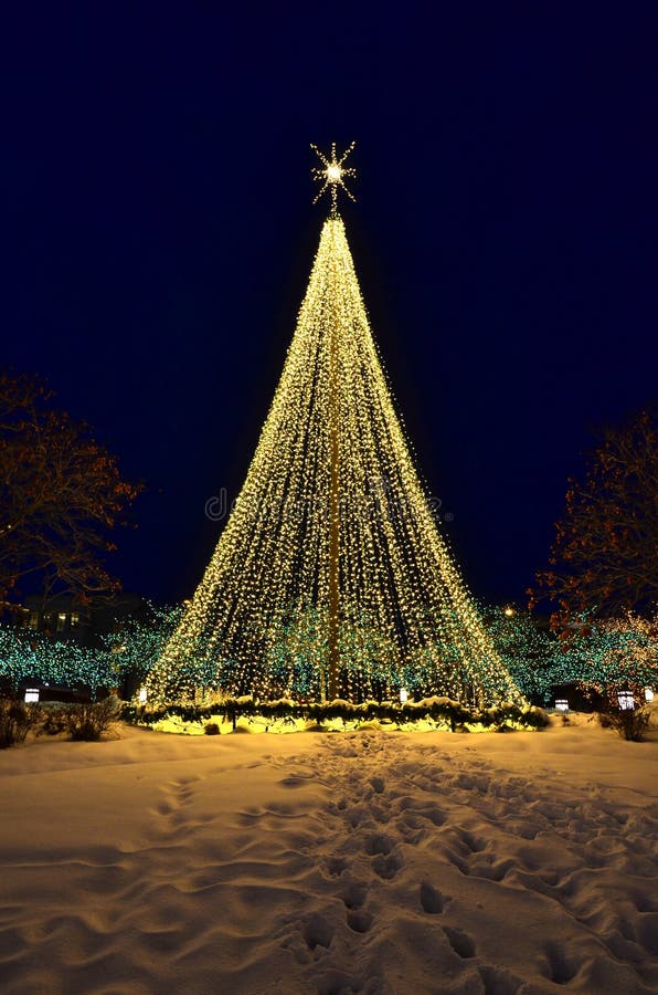 Christmas Tree Made of Lights Stock Image - Image of background ...