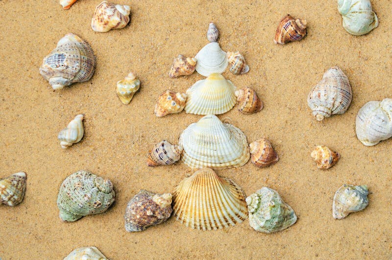Christmas Tree Made of Shells on the Sand Stock Image - Image of coast ...