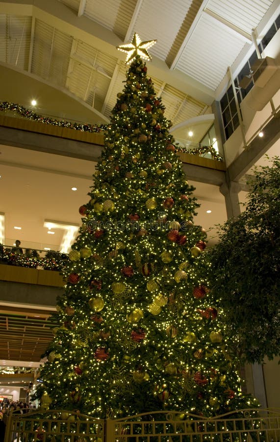 Christmas tree in mall stock photo. Image of mall, indoor - 27845954