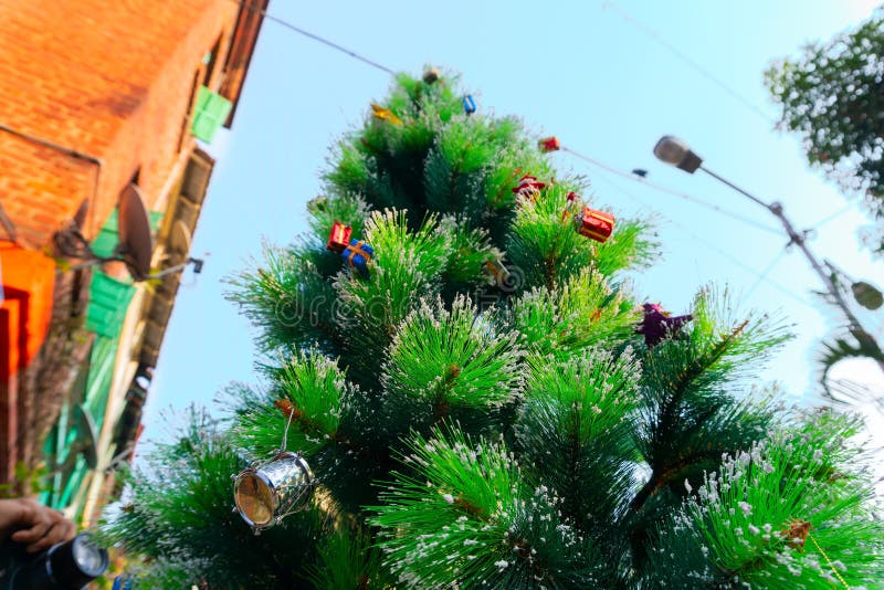 Christmas Tree at Street of Kolkata, West Bengal, India Stock Photo ...