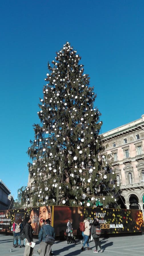 Christmas Tree in Milan, Italy Stock Photo - Image of building ...