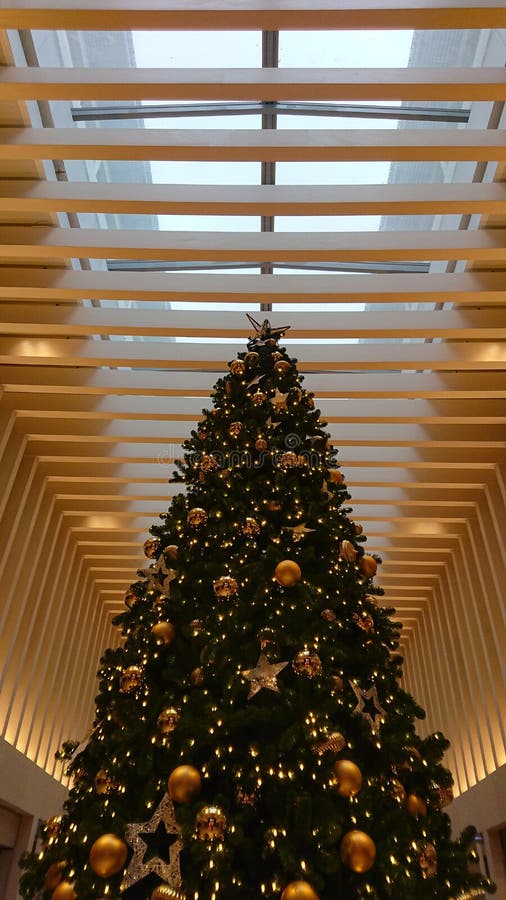 Christmas Tree in a Modern Architectural Building Stock Image - Image ...