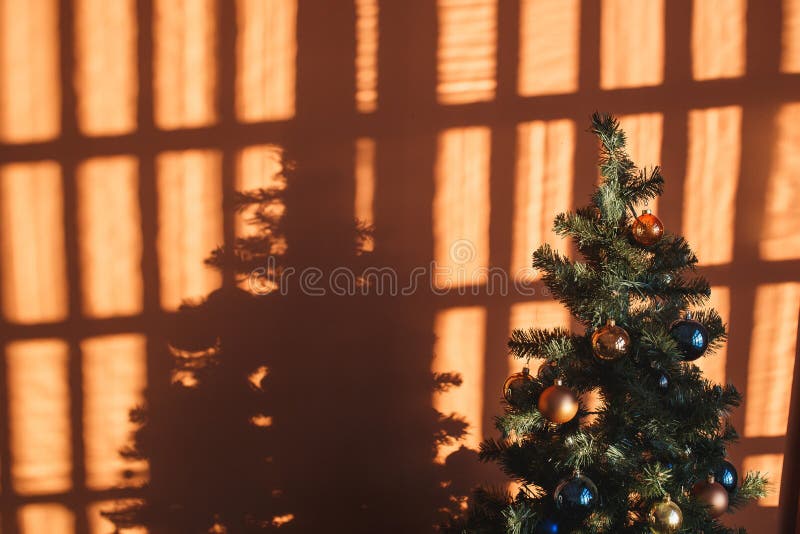 Christmas Tree Near Orange Wall in Sunlight. Geometric Shadows from ...