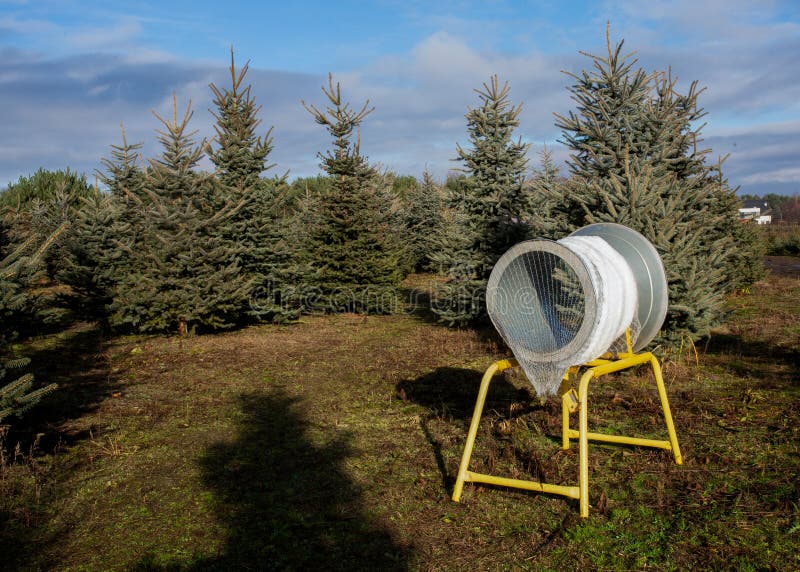 Christmas Tree Netting Machine - Tunnel for Packing a Christmas Tree ...