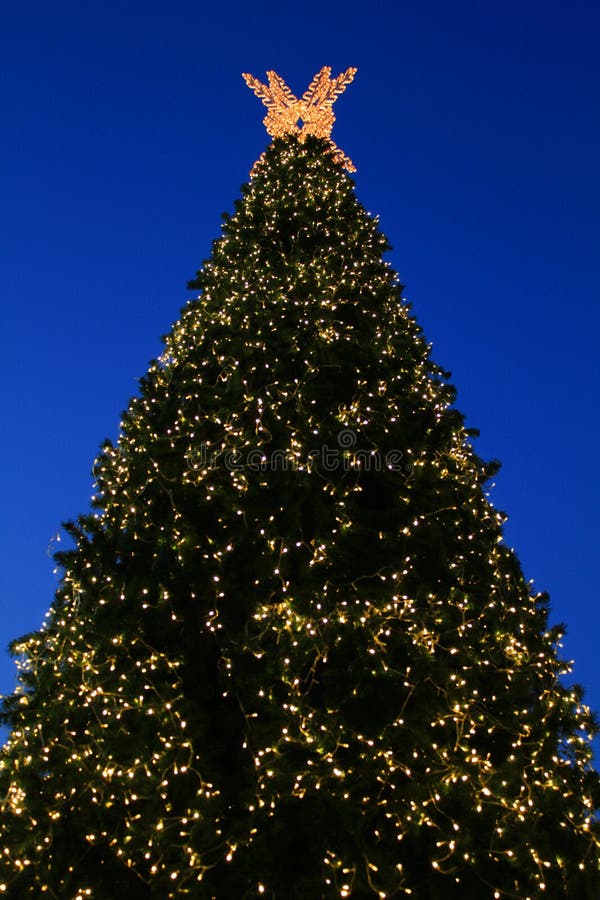 Christmas tree at night stock photo. Image of festival - 35919978