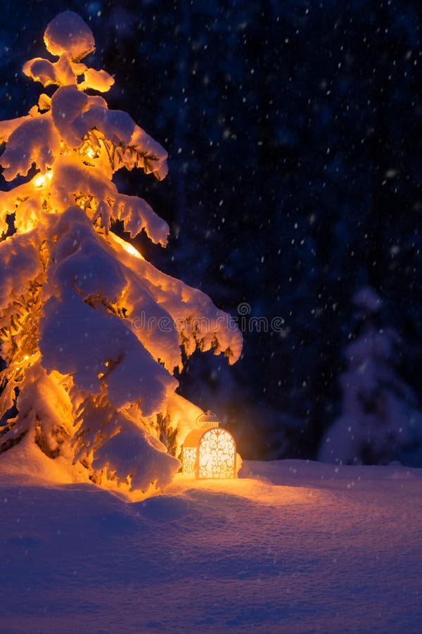 Christmas Tree. Night before Christmas Stock Photo - Image of firry ...