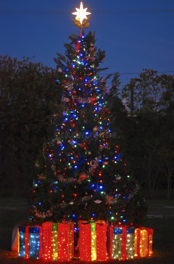 Christmas Tree at Night in La Batre Alabama, Traditional Holiday Tree ...