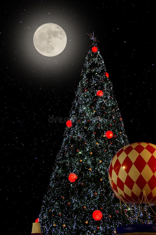 Christmas Tree in the Night Sky Stock Image - Image of trees, xmas ...