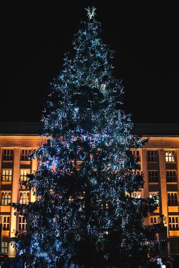 Christmas Tree Outdoors. Christmas Holidays Concept. Decorated ...