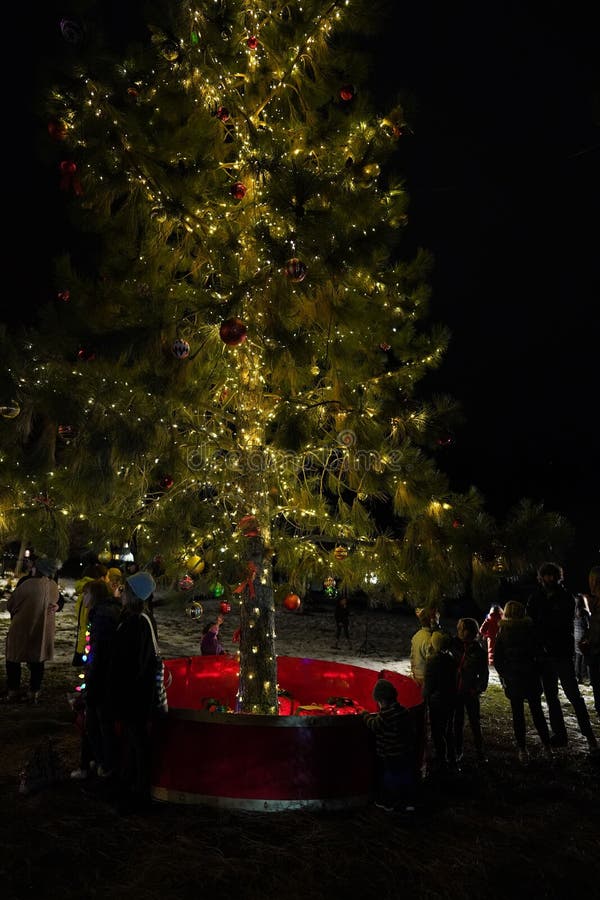 Christmas Tree in the Park during the Nighttime Stock Image - Image of ...
