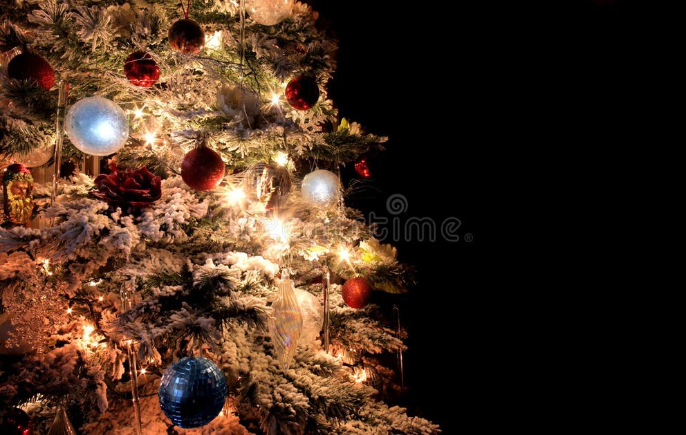 Christmas Tree Part stock photo. Image of tree, christmas - 28041874