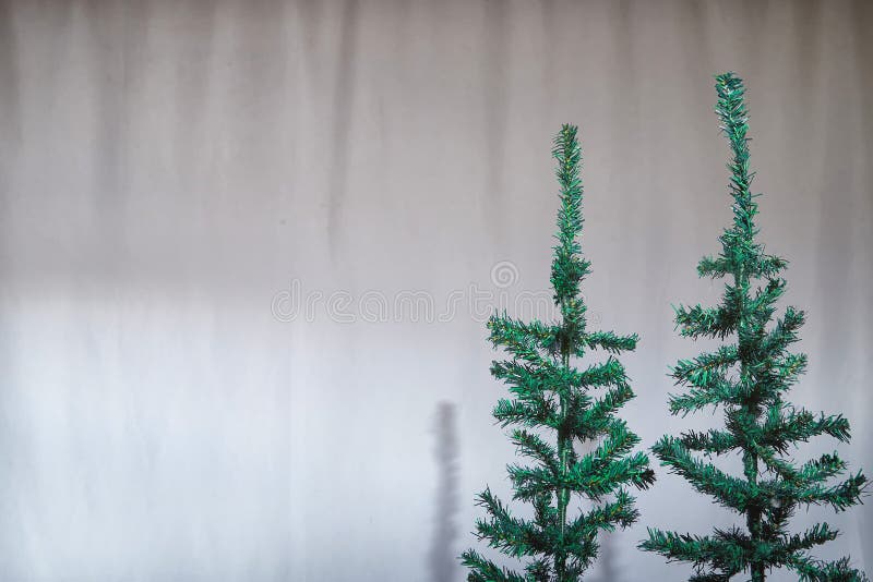 Christmas Tree Placed on a Table with Shadow Cast on a Backdrop in a ...