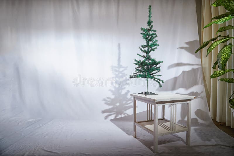 Christmas Tree Placed on a Table with Shadow Cast on a Backdrop in a ...