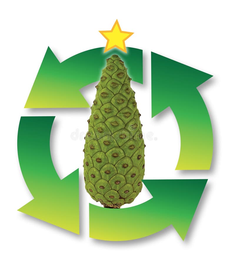 Christmas tree recycling stock photo. Image of recycle - 28064014