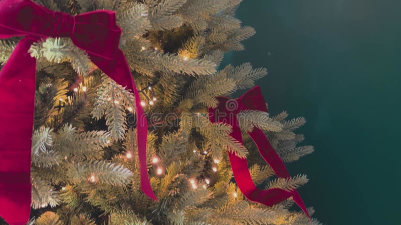 A Christmas Tree with a Red Bow on it. the Tree is Lit Up with Lights ...