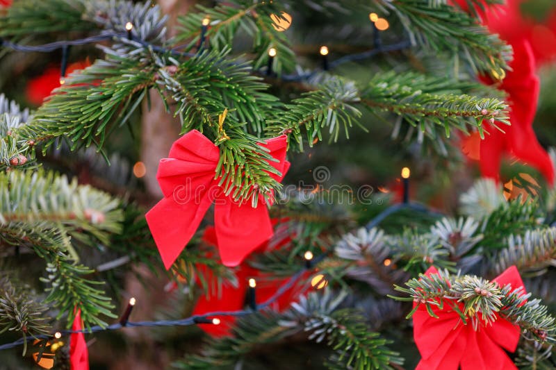 A Christmas Tree with Red Bows on it Stock Photo - Image of year ...