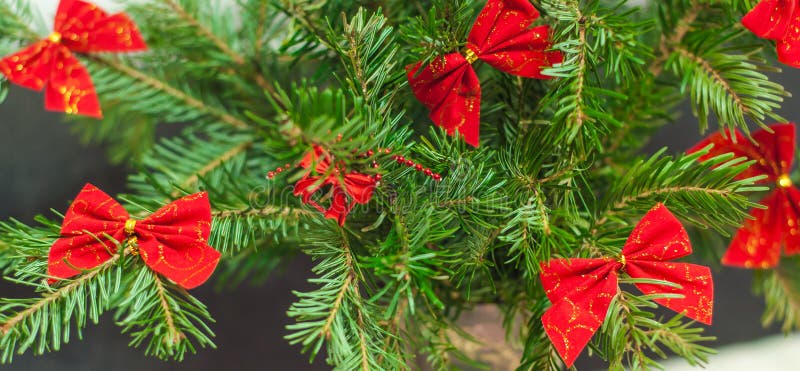 Christmas Tree with Red Bows Stock Image - Image of ornaments, isolated ...