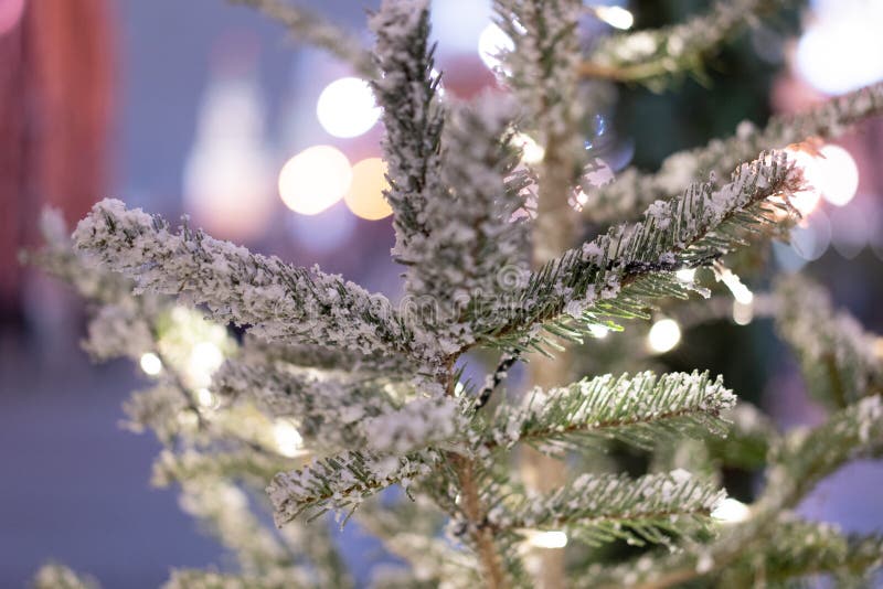 Christmas Tree stock image. Image of bright, seasonal - 204112827
