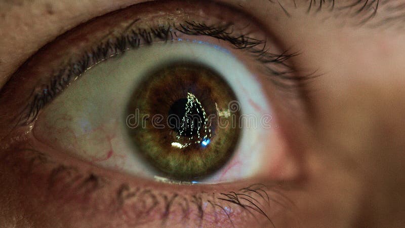 Christmas Tree Reflected into the Eyeball Stock Photo - Image of ocular ...