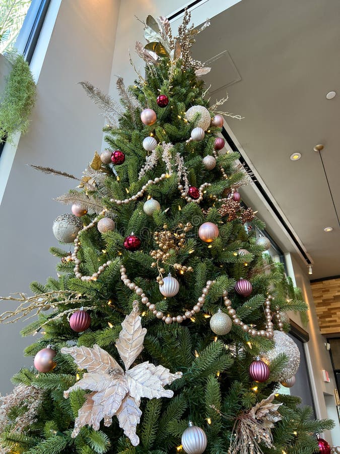 A Christmas Tree in a Restaurant on a Sunny Day in Orlando, Florida ...
