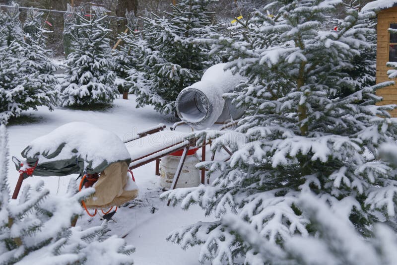 Christmas tree sales stand stock photo. Image of snow - 105891690