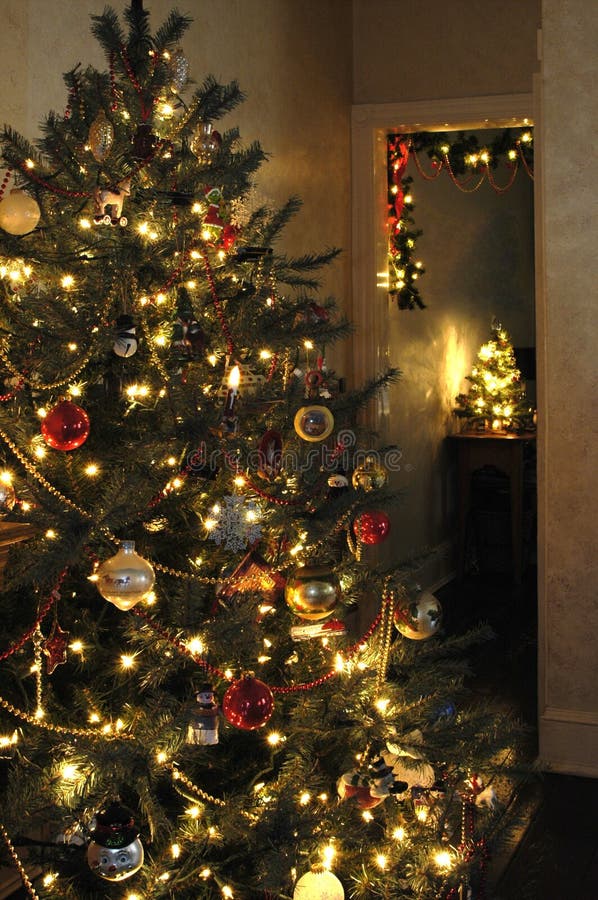 Christmas tree scene stock photo. Image of trees, lights - 26051516