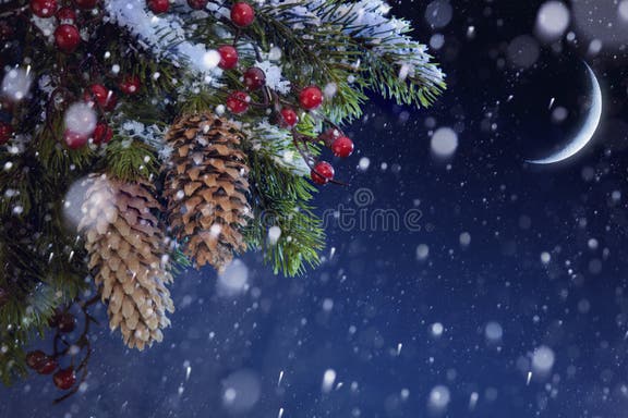 Christmas Tree with Snow on Blue Night Stock Image - Image of snowy ...
