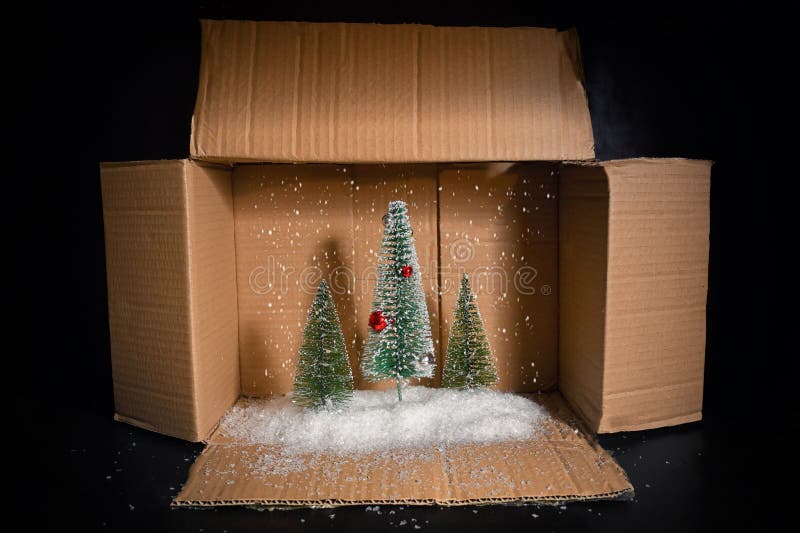 Christmas Tree in Cardboard Box Stock Image - Image of christmas ...
