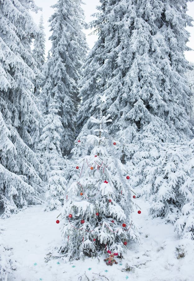Christmas Tree in Snow-covered Forest Stock Photo - Image of beautify ...