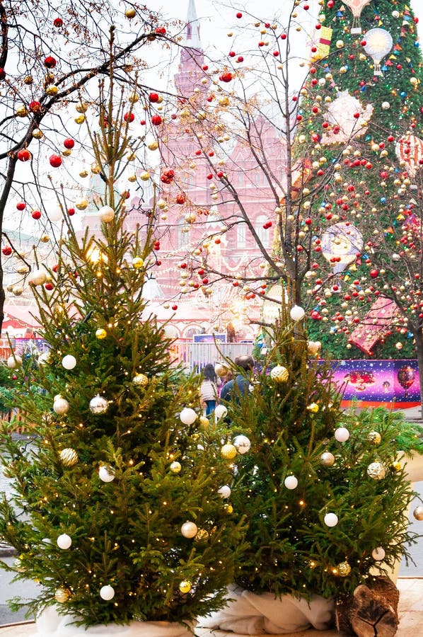Christmas Tree, Spruce Branches, Cones. Christmas Decorations Editorial ...