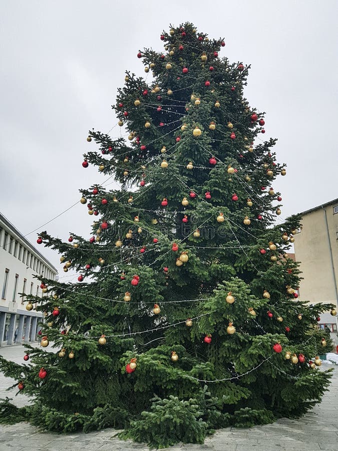 A Christmas Tree in the Square Stock Image - Image of light, town ...