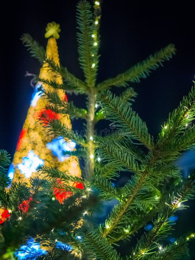 A Christmas Tree with String Lights at Night Time with a Huge Christmas ...