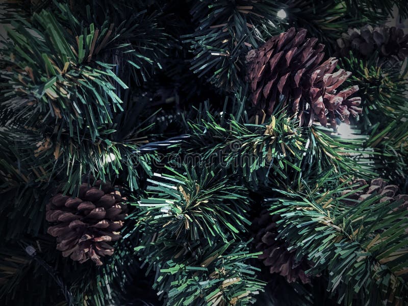 Christmas Tree Texture Background with Copy Space Stock Photo - Image ...