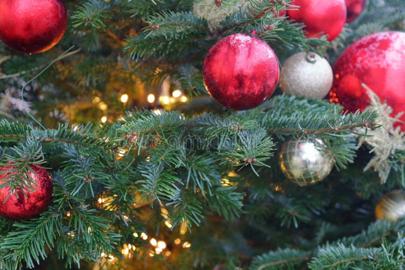 Christmas tree texture stock photo. Image of pattern - 82713412