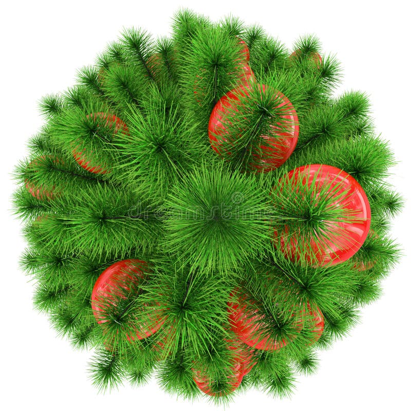 Christmas Tree Plan View Real Christmas Tree Prices Expected To Rise