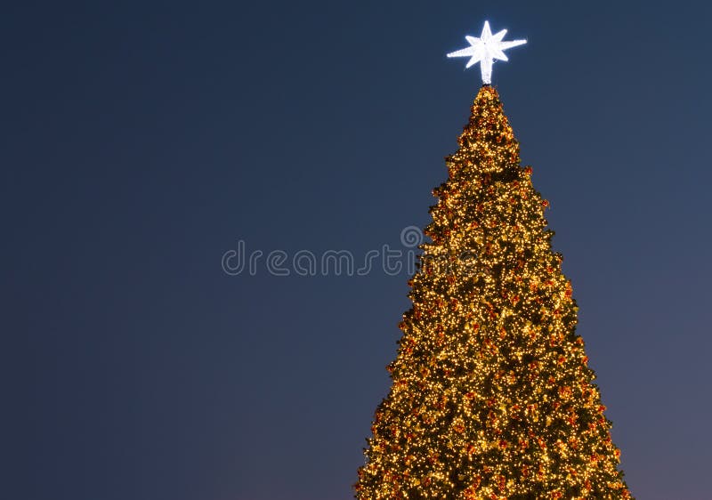 Christmas tree at twilight stock photo. Image of lights - 23892912