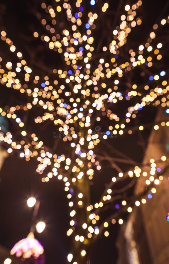 Christmas Tree Unfocused in Old Town, Warsaw, Poland. Stock Photo ...