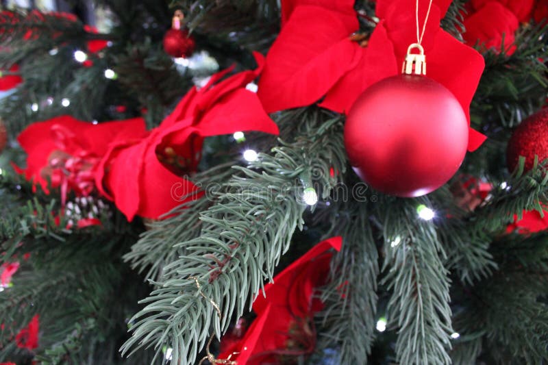 Christmas Tree Up Close Picture with Lights and Bauble Decorations ...