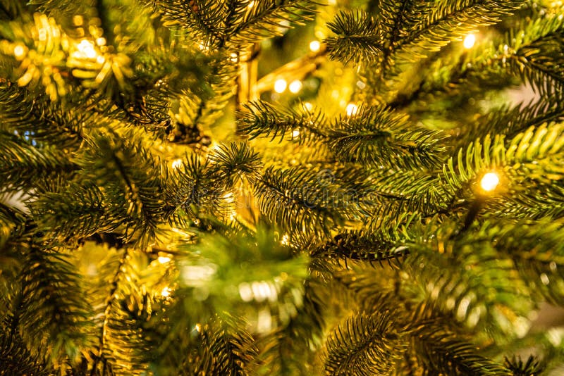 Christmas Tree Warm and Cosy, Bright Lights Stock Photo - Image of ...