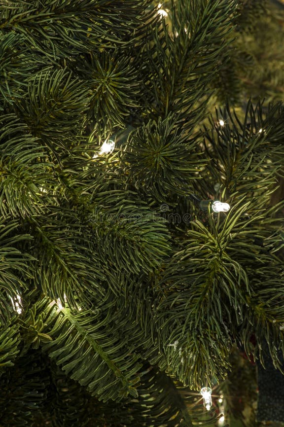 Christmas Tree with White Lights Stock Photo - Image of branch, pine ...