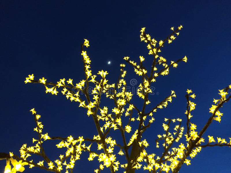 Christmas Tree Yellow Lights Stock Image - Image of background, yellow ...