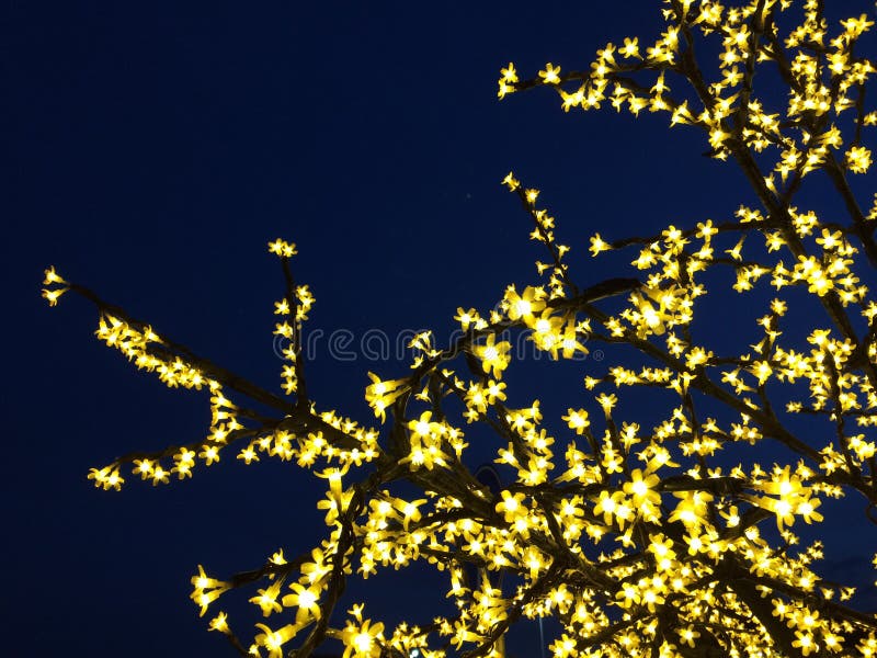 Christmas Tree Yellow Lights Stock Image - Image of branch, yellow ...