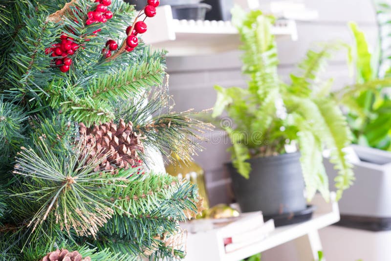 Christmas Trees Decoration in Coffee Shop. Stock Image - Image of ...