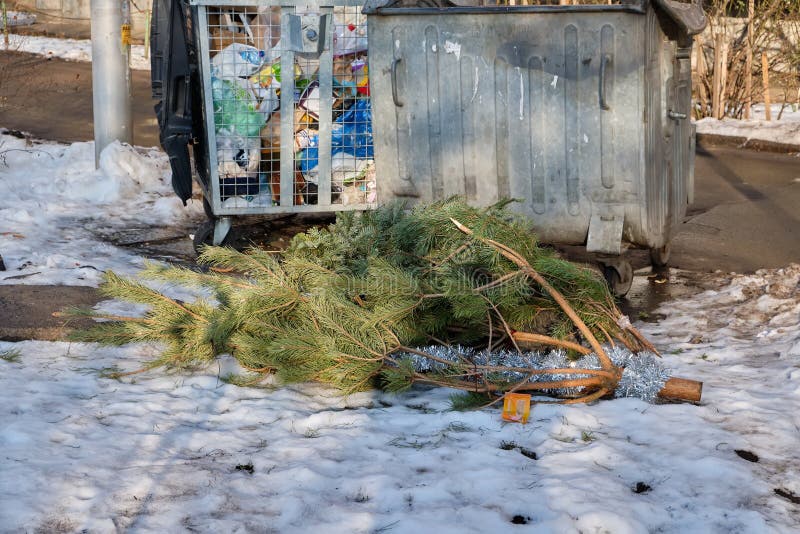 Christmas trees thrown stock image. Image of christmas - 298982357