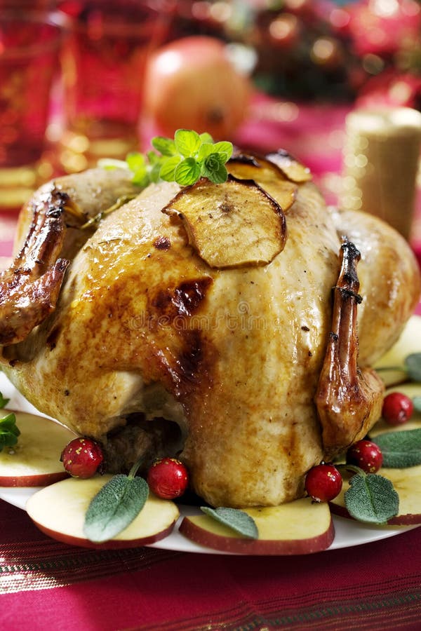 Christmas turkey stock photo. Image of loser, full, close - 12227530