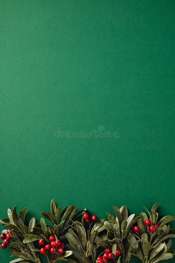 7,883 Holly Background Banner Stock Photos - Free & Royalty-Free Stock ...