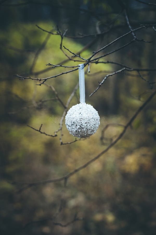 Christmas White Ball Hanging on Tree Branch Stock Photo - Image of ...